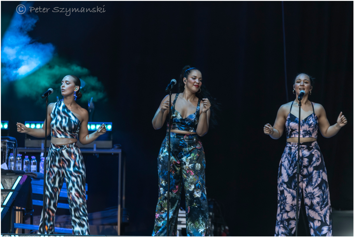 Funk bis Punkt 22 Uhr: Jan Delay bringt 8000 Fans auf dem KunstRasen ...